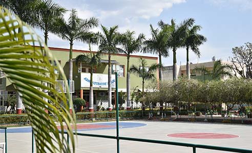 Development Cycle | Top 5 Schools in Pinjore